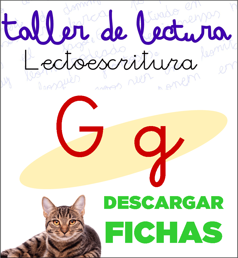Taller de lectura y escritura