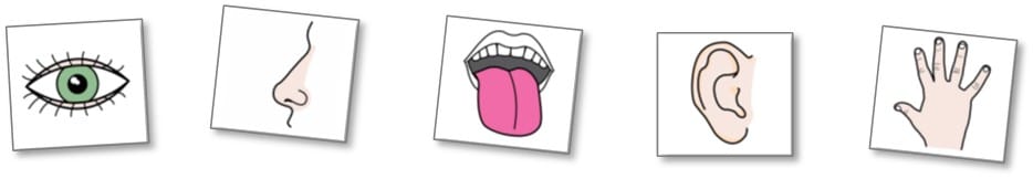 Juego de los sentidos (25 TARJETAS) – para Infantil y 1.º Primaria