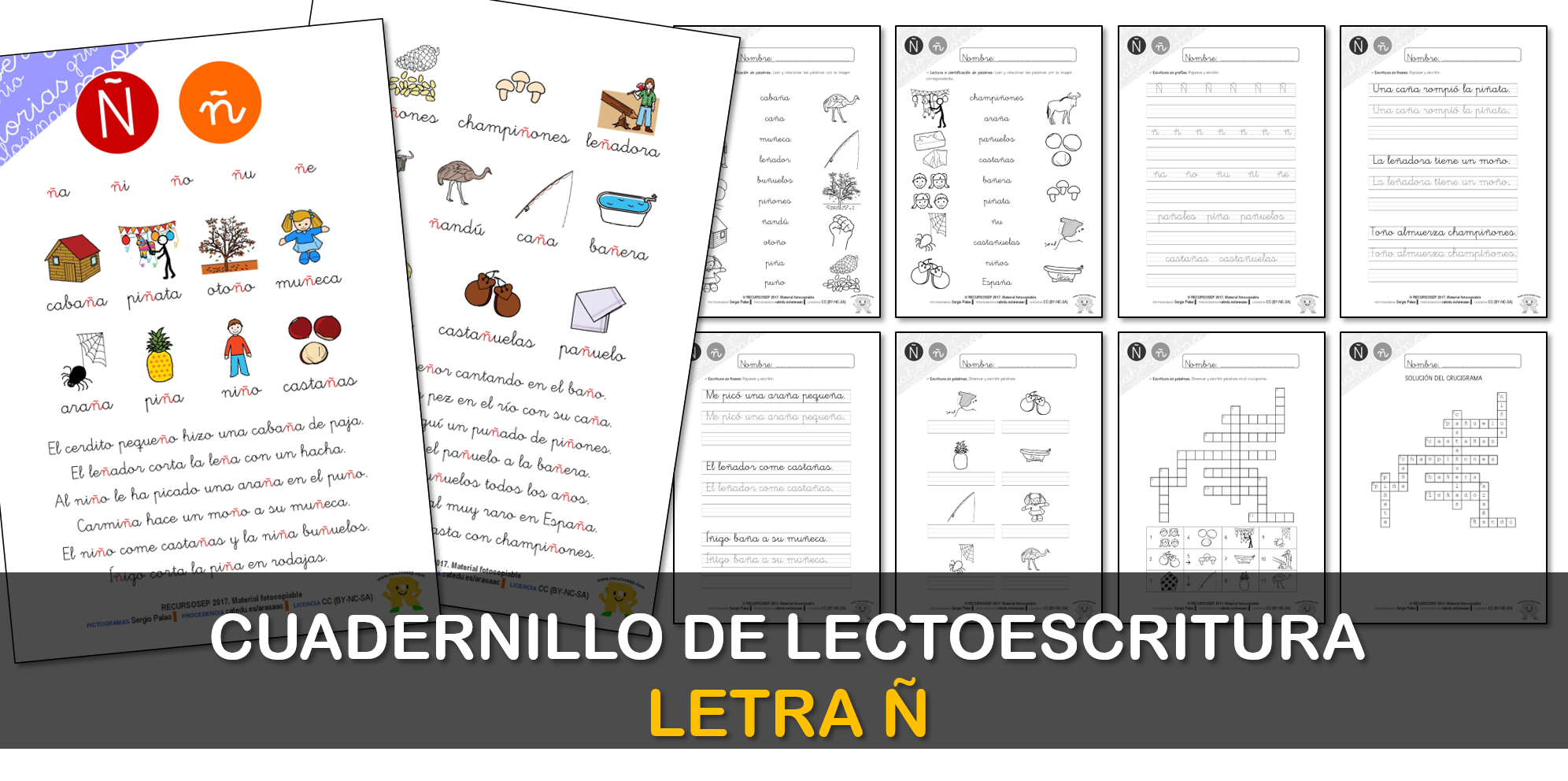Cuadernillo de lectura y escritura: letra Ñ