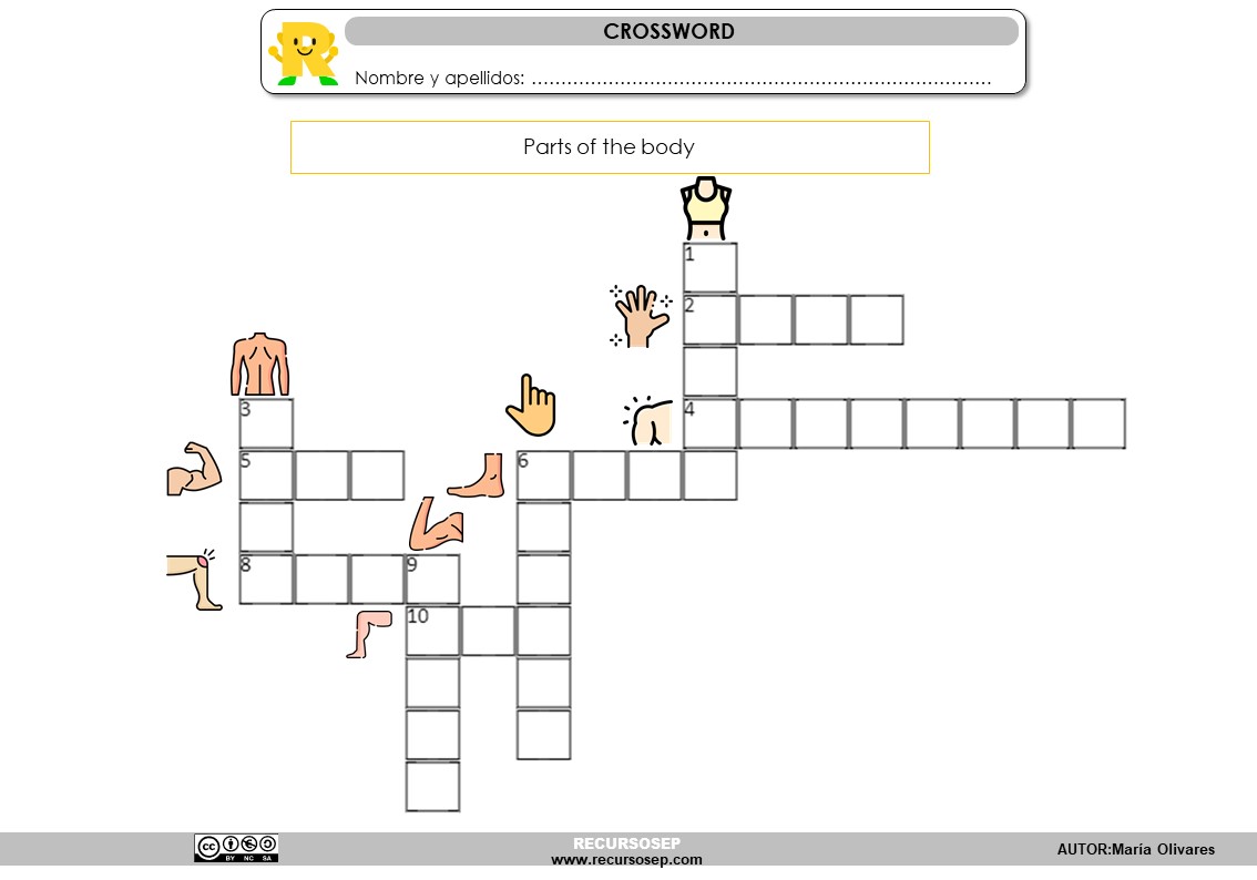 Crucigrama De Las Partes Del Cuerpo Resuelto - kulturaupice