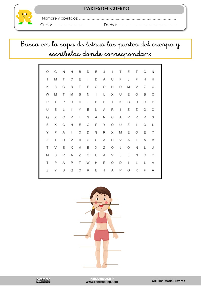 Ideas De Sopa De Letras Sistema Circulatorio Sistemas Del Cuerpo | My ...