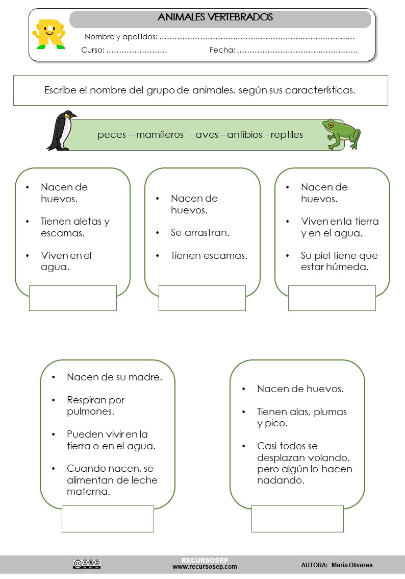 clasificacion vertebrados