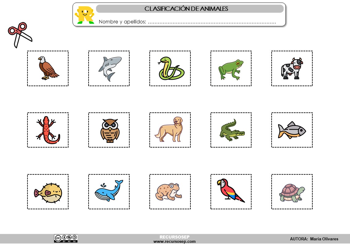 clasificación animales (2)