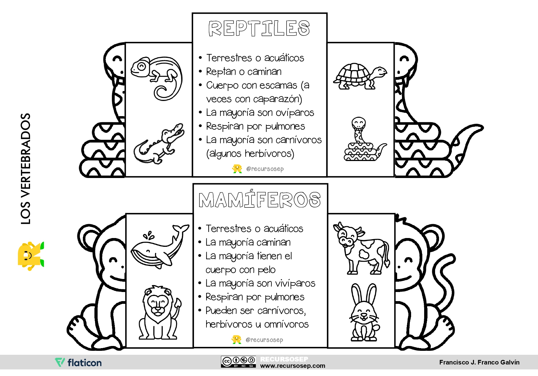 FOLDABLE – Los animales vertebrados
