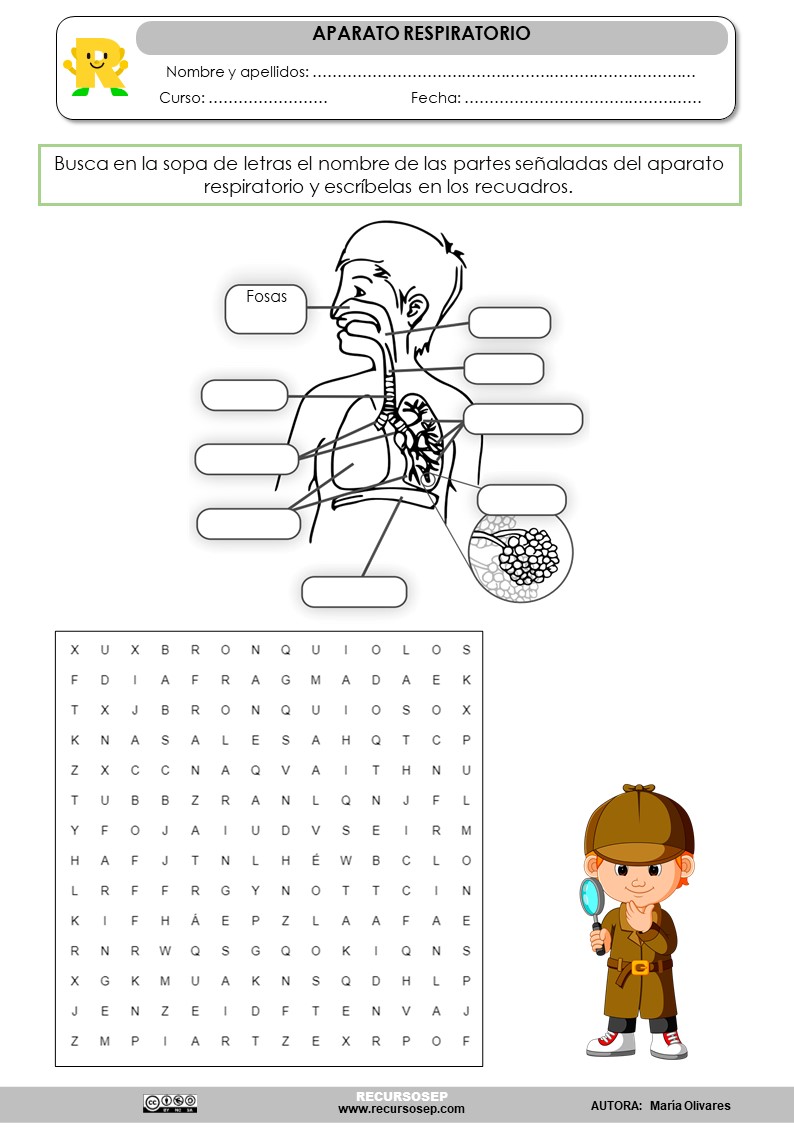 aparato respiratorio