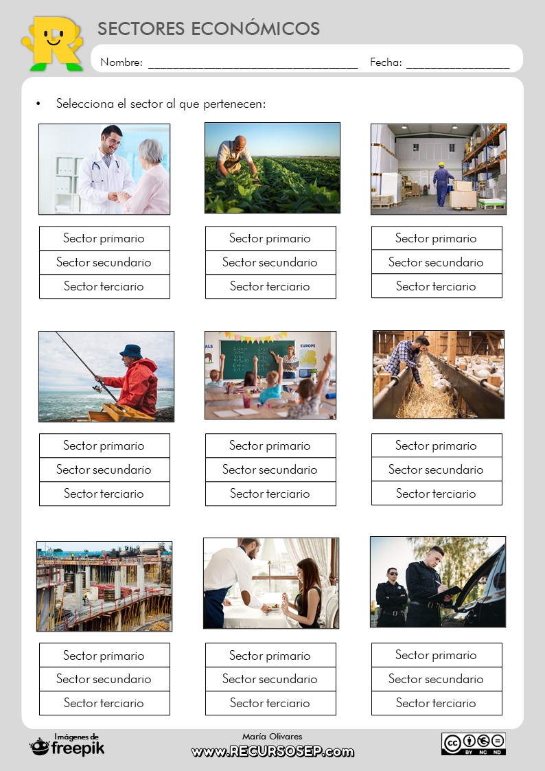 sectores económicos