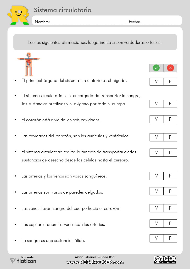 Actividades Del Sistema Circulatorio ACTIVIDAD SOBRE EL SISTEMA