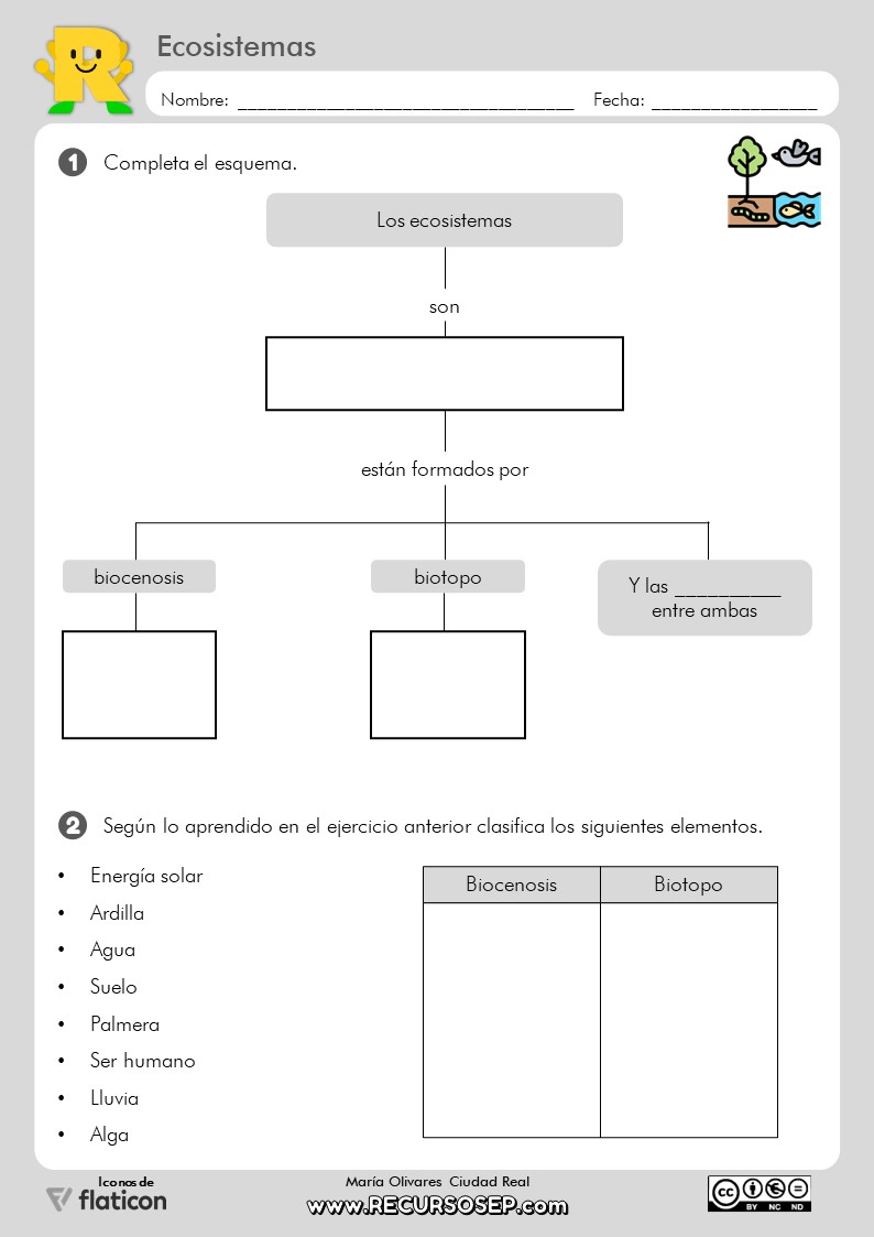ecosistemas y elementos ecosistemas y elementos