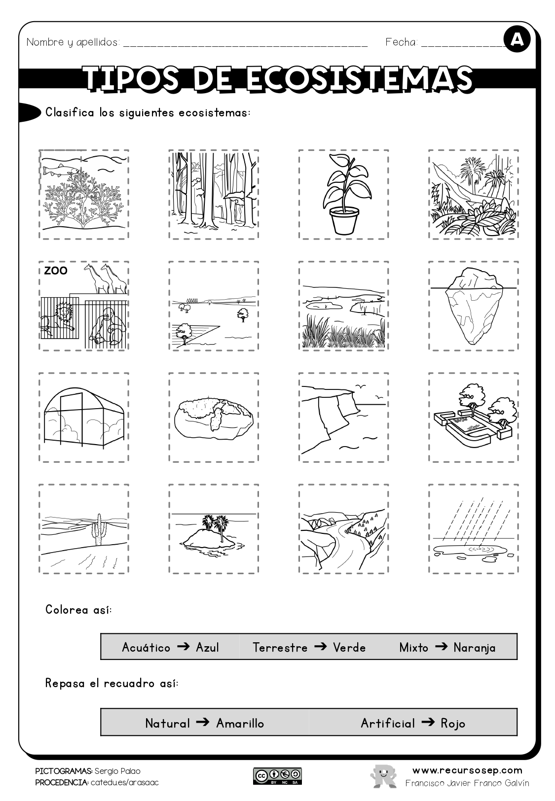 Sopa De Letras De Ecosistema Para Imprimir